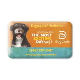 Business Card Domed Magnet Round Corners 129868