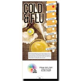 Personalized Cold and Flu Slide Chart by Logotech 155051