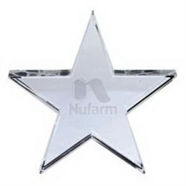 Crystal Star Paperweight 130151