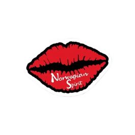 Wholesale Custom Shape Car Sign Magnet 19 in to 19.9 in Square Inches ...