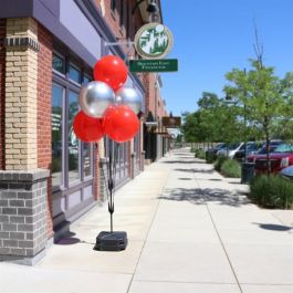 Duraballoon Weighted Base Cluster Pole Kit 125268