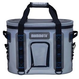 Branded Highlander 30 Flip Lid Soft Cooler from Logotech 138692