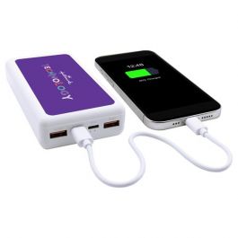 Bulk Ipowerplus 20,000 mAh 4-in-1 Power Bank by Logotech 137839