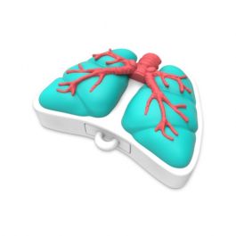 Lungs USB Flash Drive FDCS051 | by Logotech FDCS051